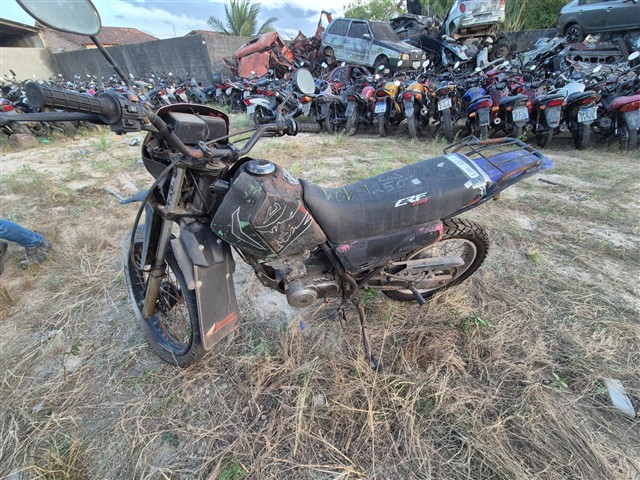 VIP Leilões - Prf - PA